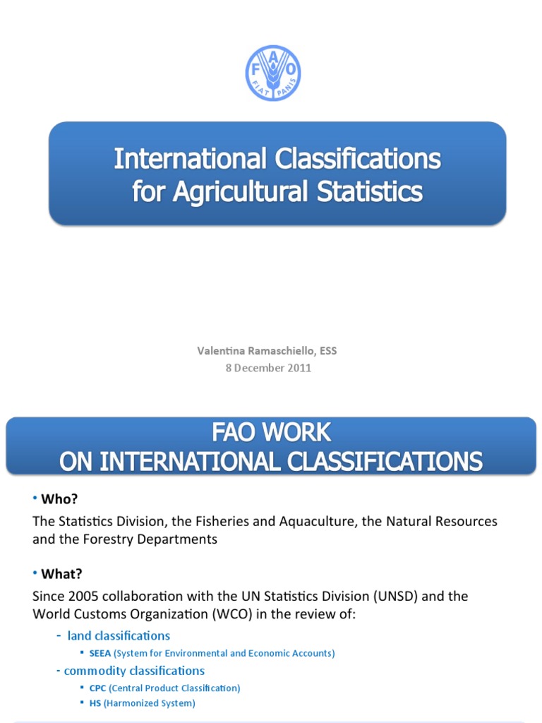 SUA FBS Workshop ClassificationsSFA | PDF | Business