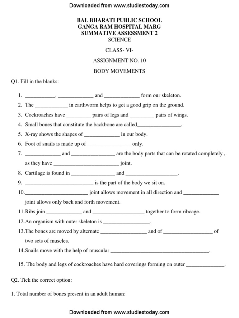 CBSE Class 6 General Science Practice Worksheets | PDF | Skeleton ...
