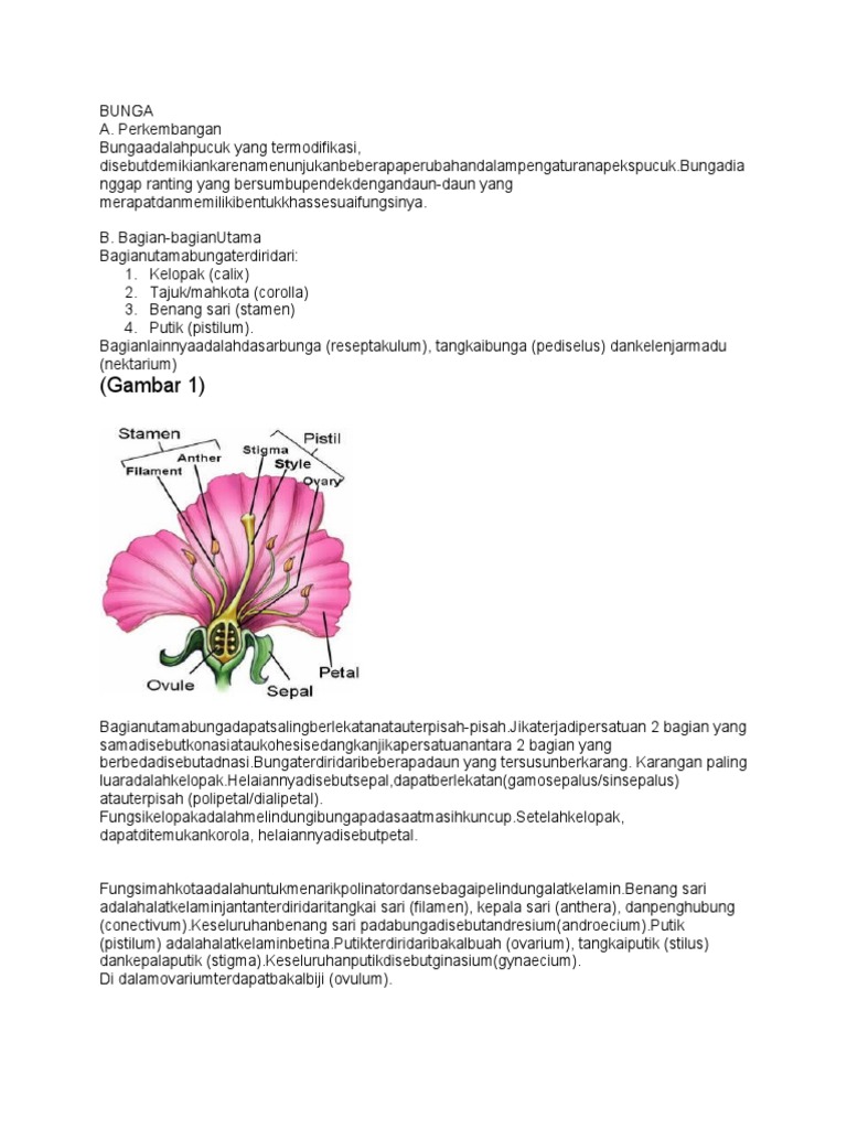 Struktur dan Fungsi Bunga | PDF