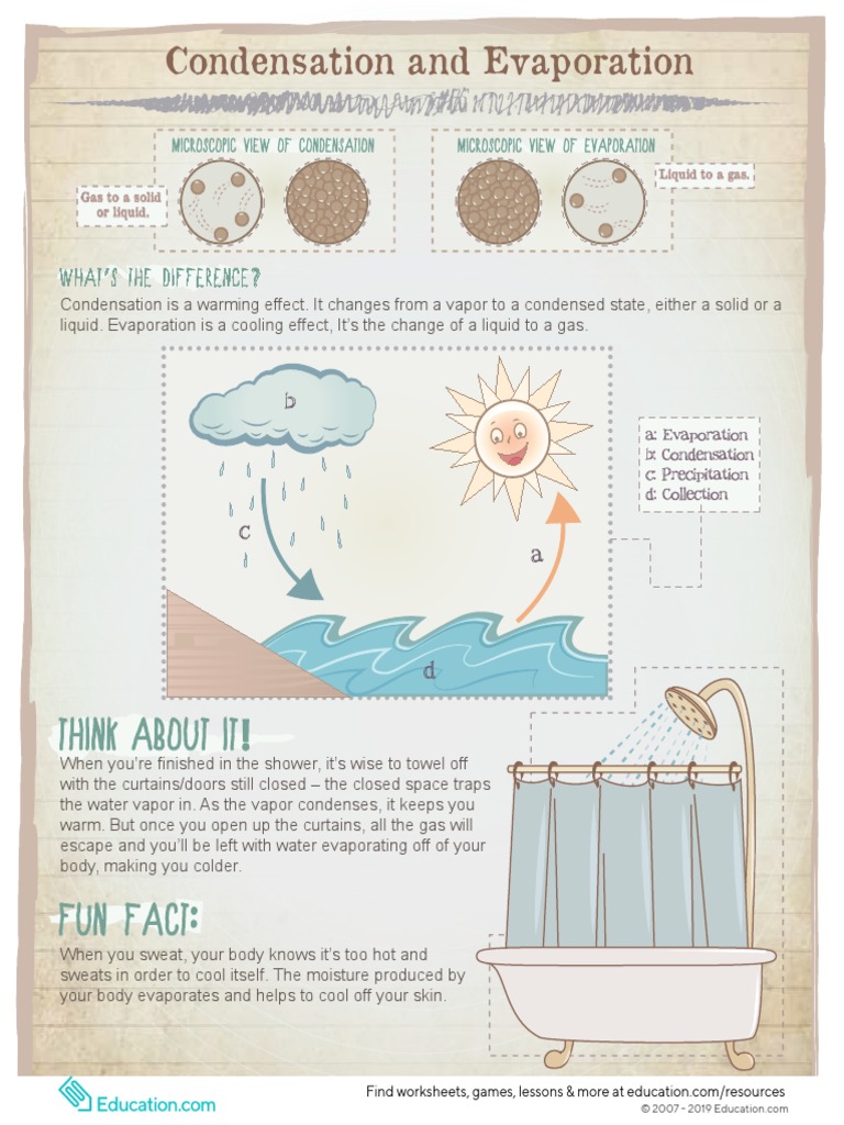Think About It !: Condensation and Evaporation | Download Free PDF ...
