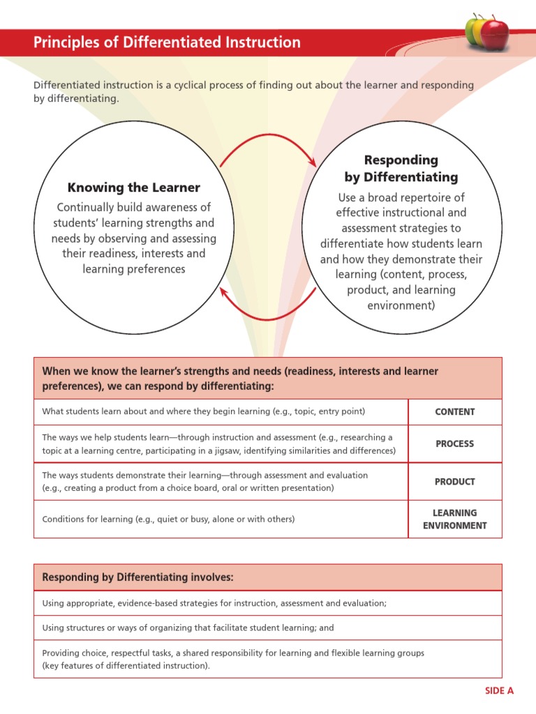 Differentiated Instruction Principles | PDF | Differentiated ...