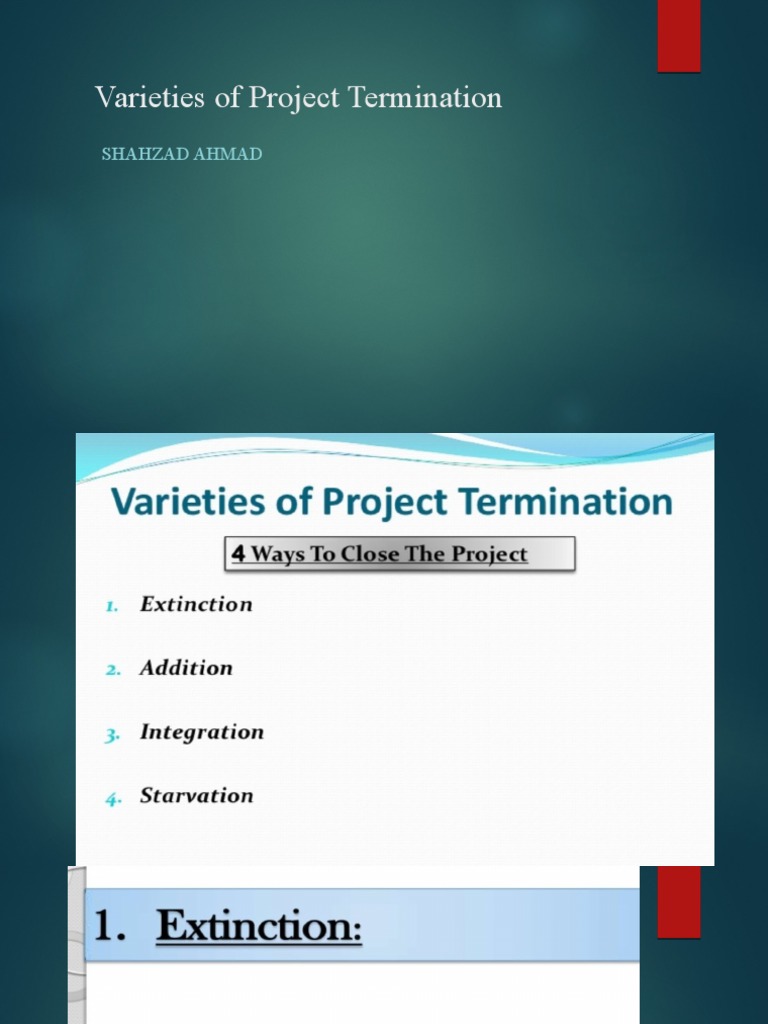 Varieties of Project Termination | PDF