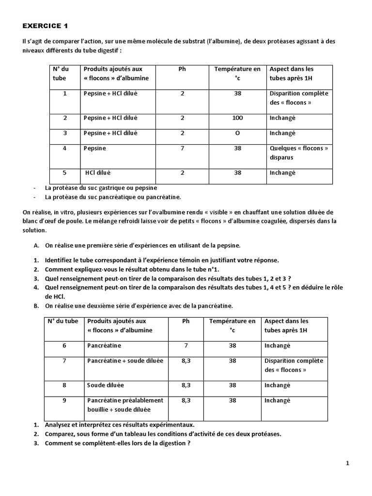 Exercice Digestion PDF | PDF | Lait | Levure