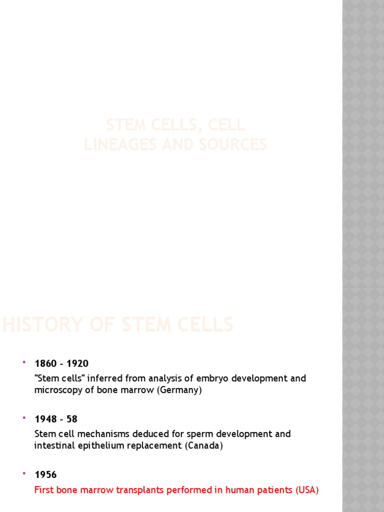Stem Cells, Cell Lineages and Sources | PDF | Cell Potency | Stem Cell