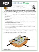 Specialised Cells Worksheet | PDF | Cell (Biology) | Blood