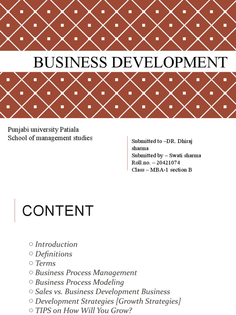 Business Development Strategies Explained | PDF | Business Process ...