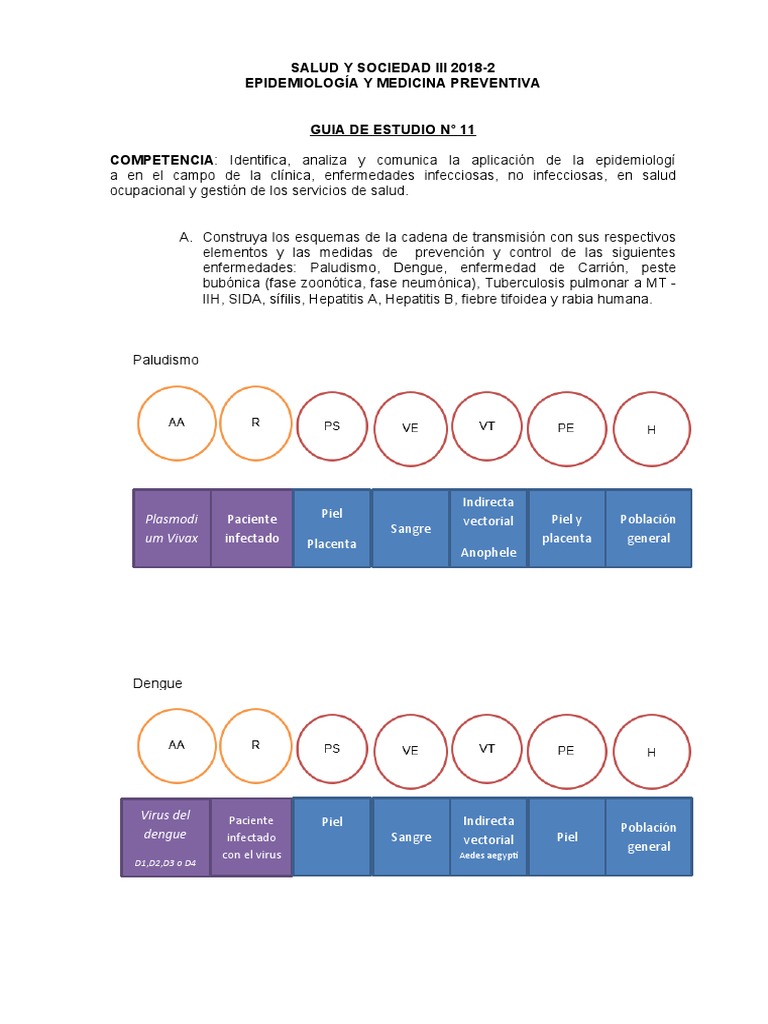 Guía 11 Salud y Sociedad Iii 2018 - 2 | PDF | Inmunidad (médica) | VIH / SIDA