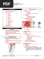 Cow Eye Dissection Lab Report | PDF | Eye | Human Eye