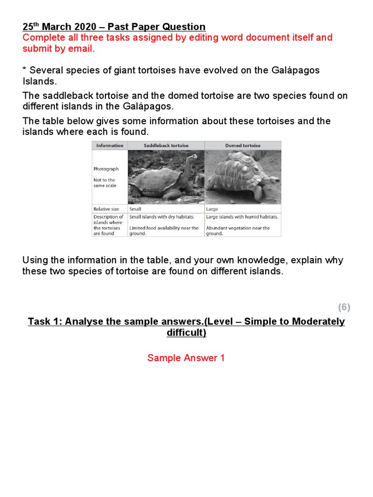 Galápagos Tortoise Evolution | PDF | Adaptation | Otter