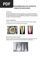 Tecnicas Apico Coronal | PDF | Ramas de Odontología