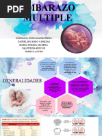 Infografia Tipos de Embarazo | PDF