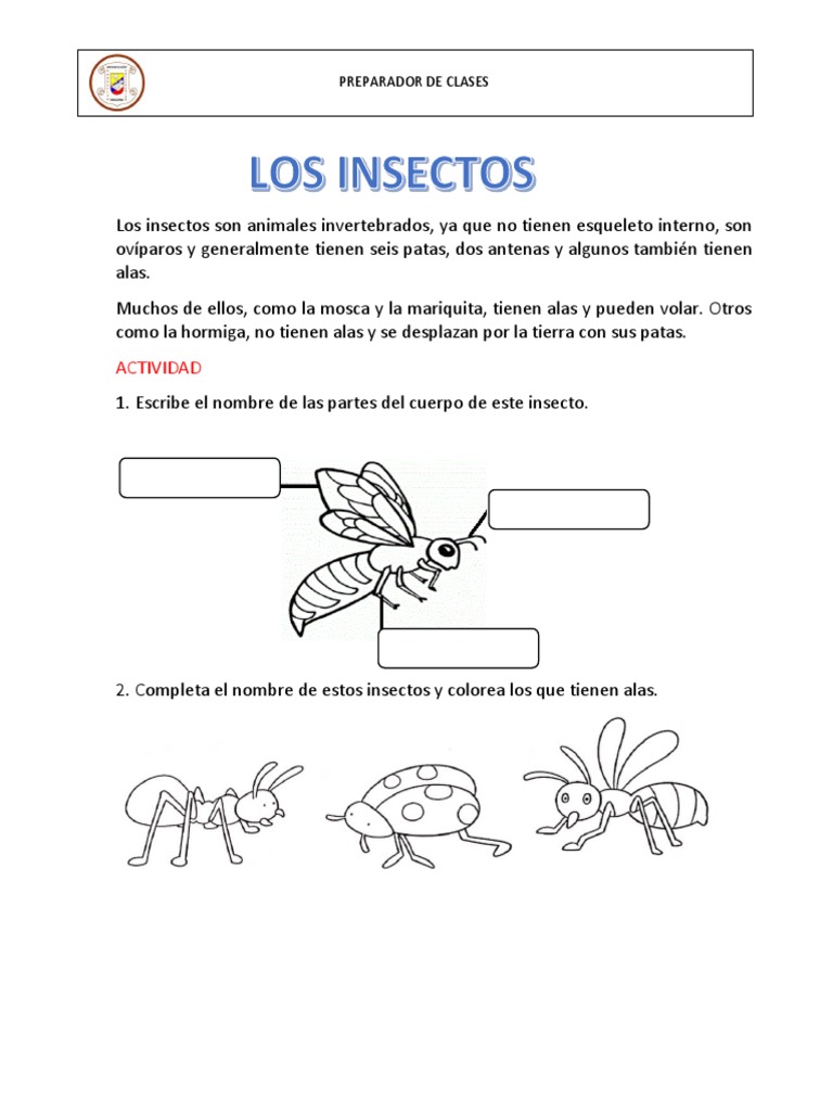 Los Insectos y El Ciclo de Vida de Los Animales Julio 15 | PDF ...