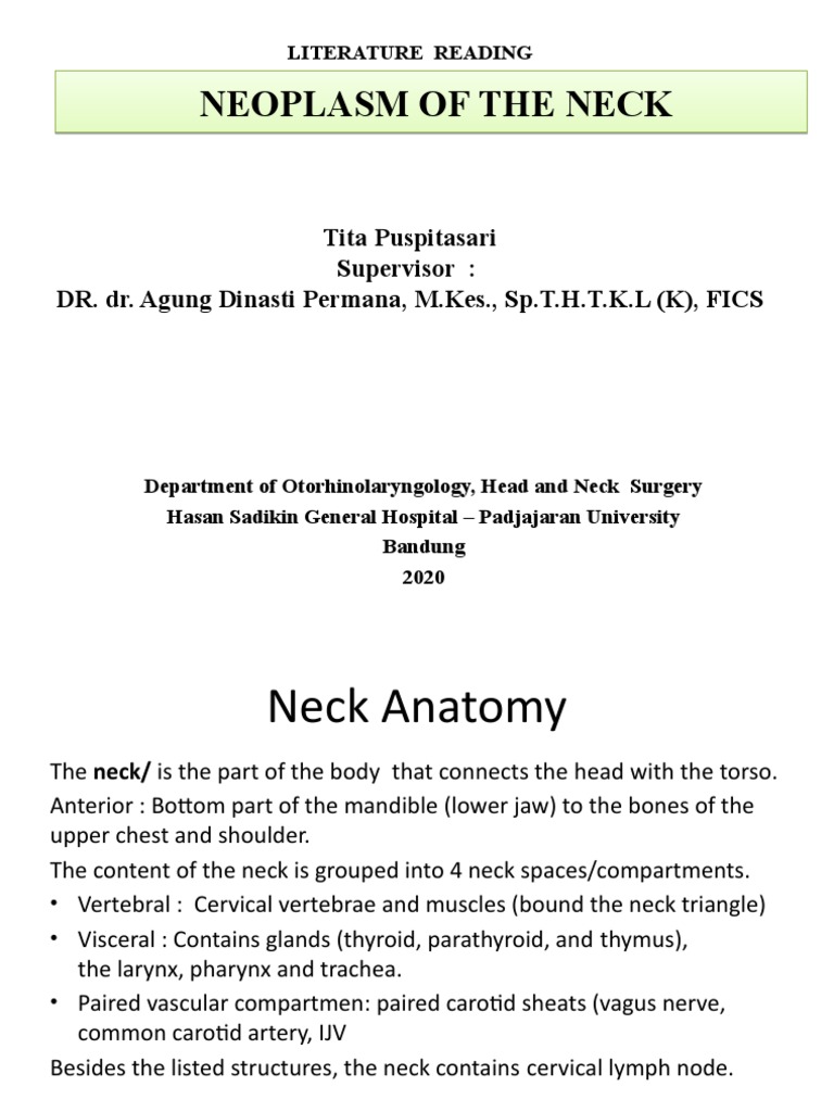 Classification and Management of Neck Masses: A Review of Benign and ...
