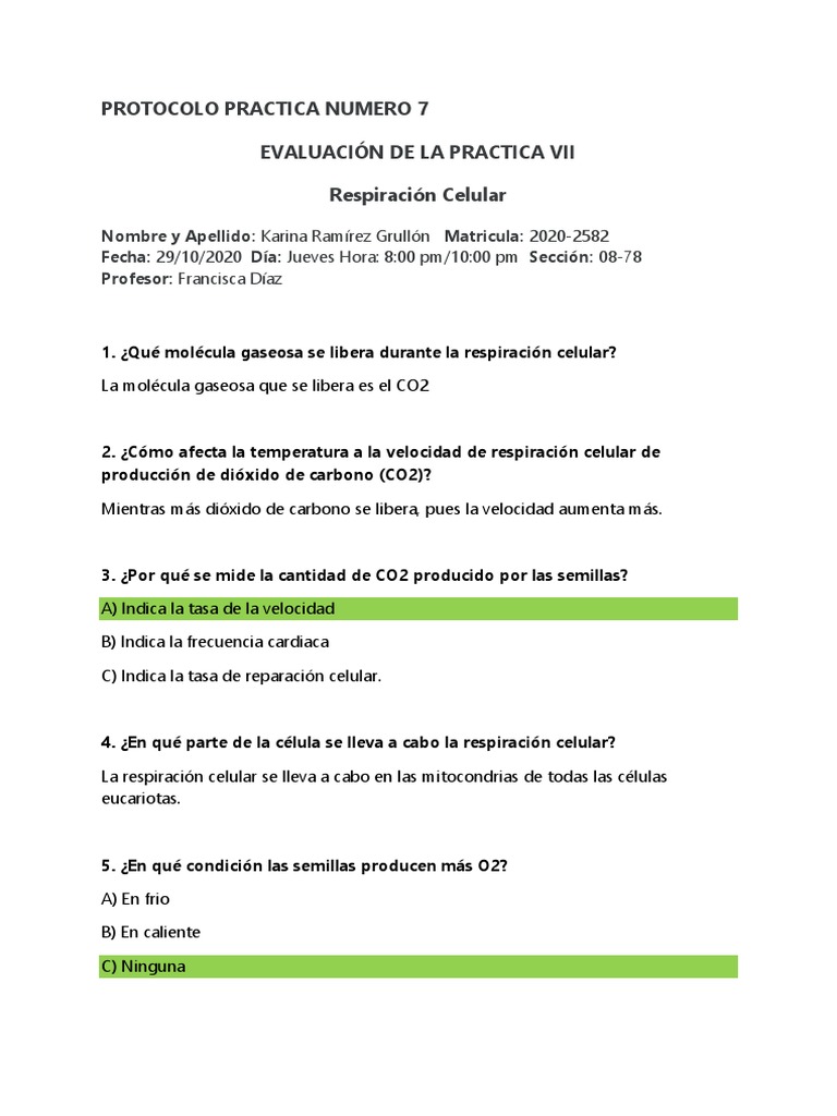 Protocolo Practica Numero 7 | PDF