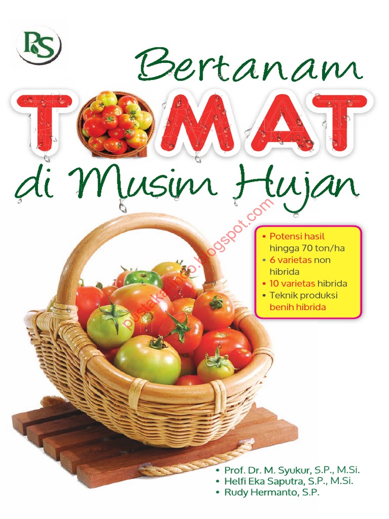 Bertanam Tomat Di Musim Hujan PDF | PDF