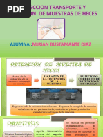 Muestra de Esputo | PDF | Tos | Especialidades Medicas