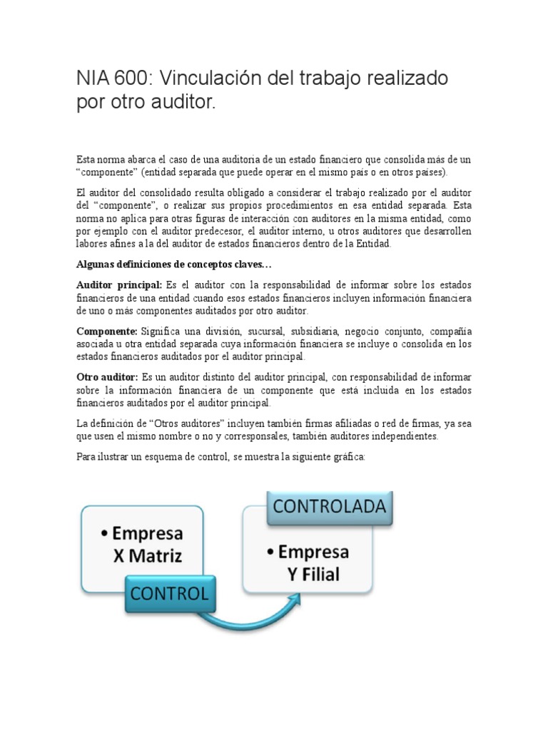 Nia 600 | PDF | Contralor | Subsidiario