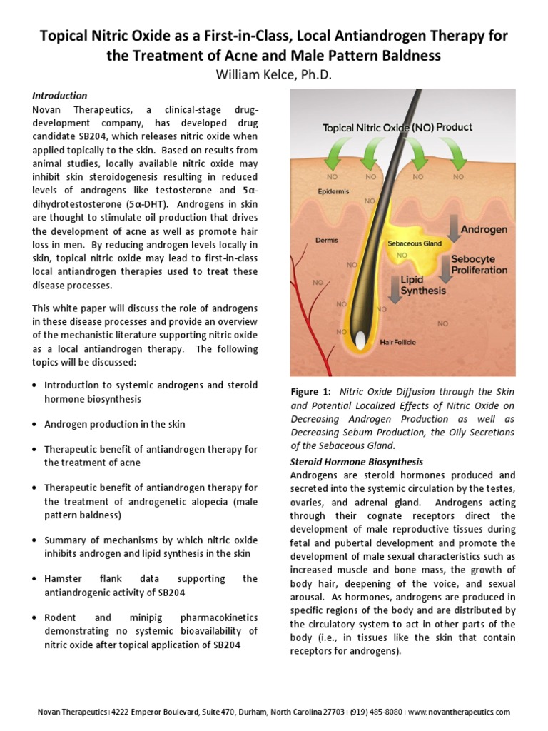 Topical Nitric Oxide Local Androgen Therapy PDF | PDF | Androgen ...