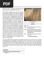 Animal Body Coverings Explained | PDF | Feather | Skin