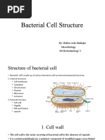 SCOP and CATH Database | PDF | Protein Domain | Computational Biology
