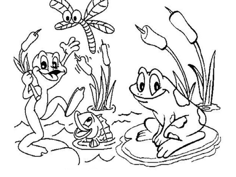 Fisa de Colorat | PDF