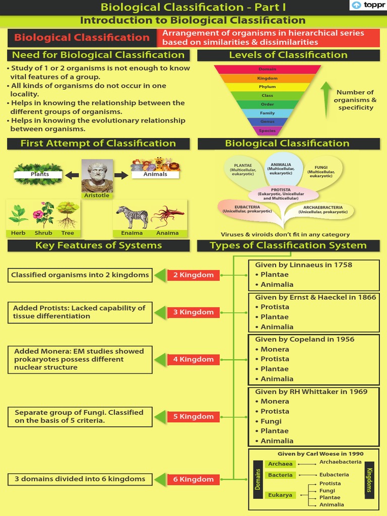 Biological Classification Overview | PDF | Eukaryotes | Taxa
