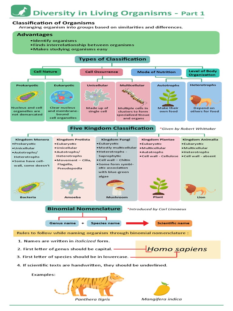 Diversity in Living Organisms - : Homo Sapiens | PDF | Cell (Biology ...