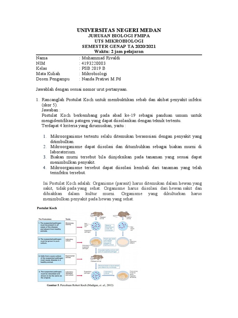 Muhammad Rivaldi Uts Mikrobio | PDF