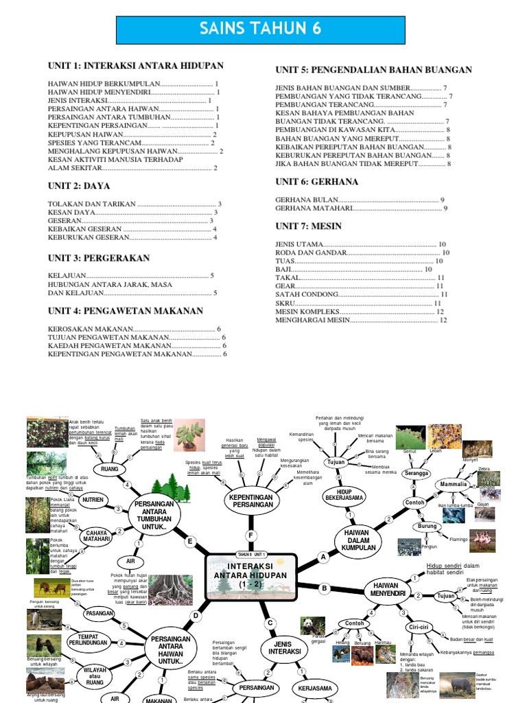 Nota Ringkas Sains Tahun 6 Pdf Pdf