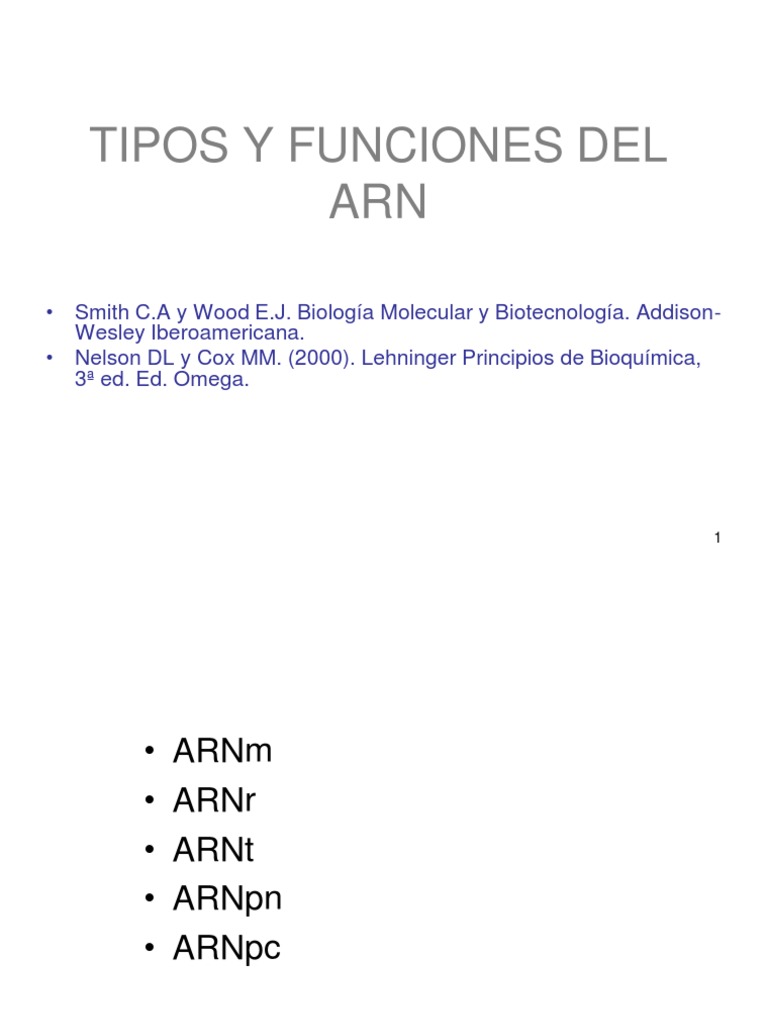 Tipos y Funciones Del Arn | PDF