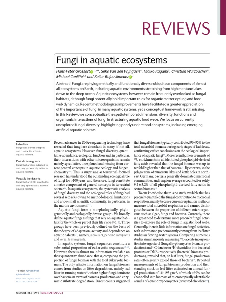 Hongos en Ecosistemas Acuaticos | PDF | Fungus | Aquatic Ecosystem