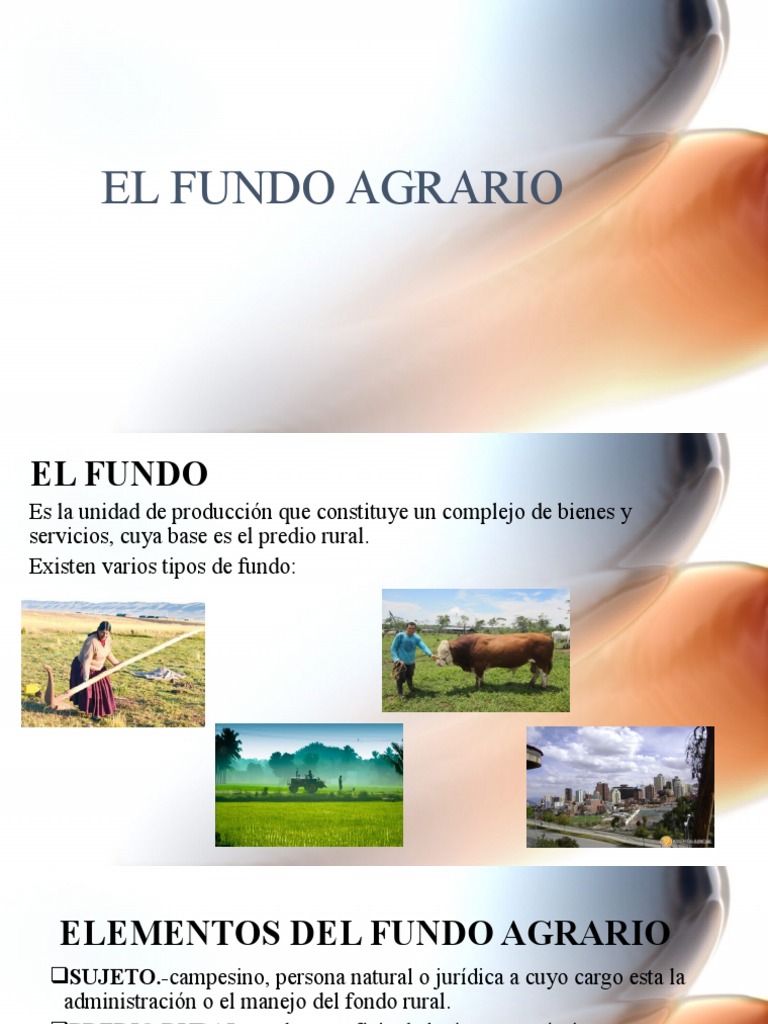 Definición y Tipos de Fundo Agrario | PDF
