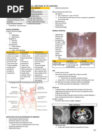 AXR Interpretation - LITFL - CCC Investigations | PDF | Medical ...