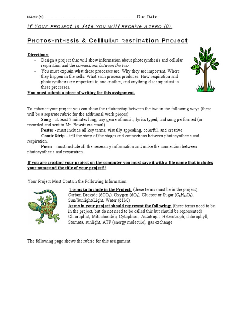 Photosynthesis Cellular Respiration Poster Project Grading Sheet | PDF ...