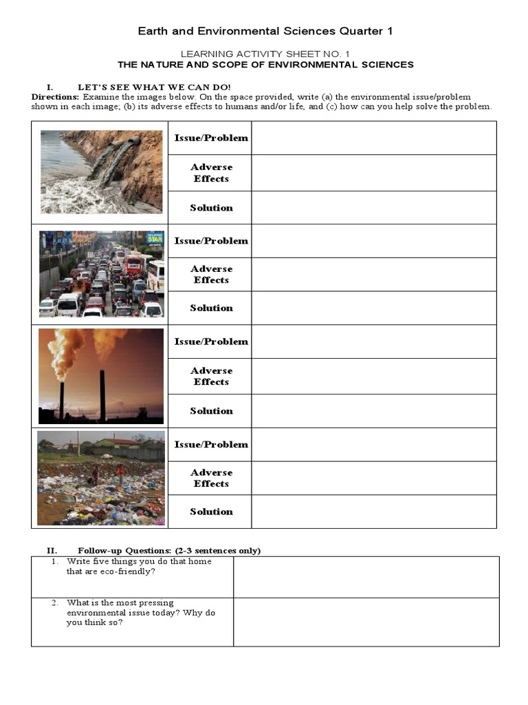 Environmental Issues and Solutions Worksheet | PDF