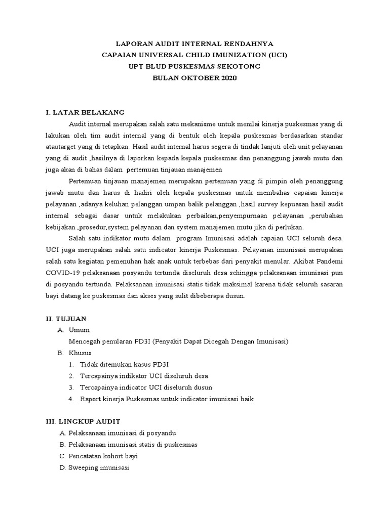 Laporan Audit Internal Pdf