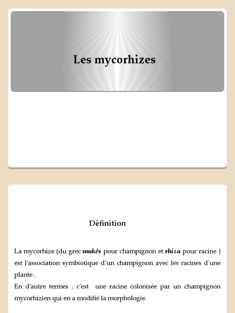 Définition et types de mycorhizes | PDF | Racine | Champignons