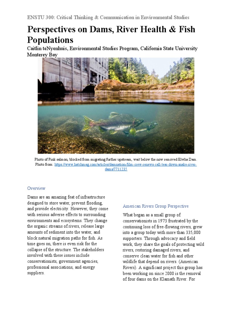 Perspectives On Dams, River Health & Fish Populations | PDF | Dam | River