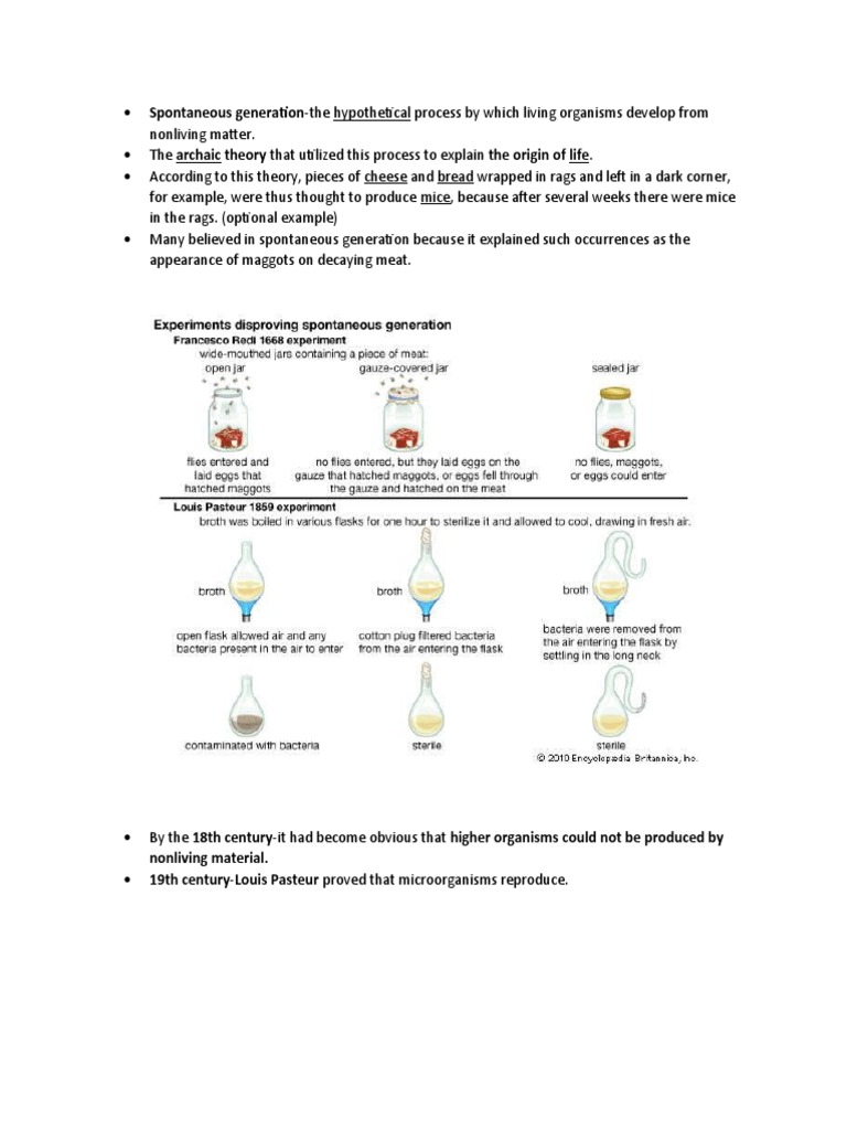 Spontaneous Generation | PDF | Louis Pasteur | Science