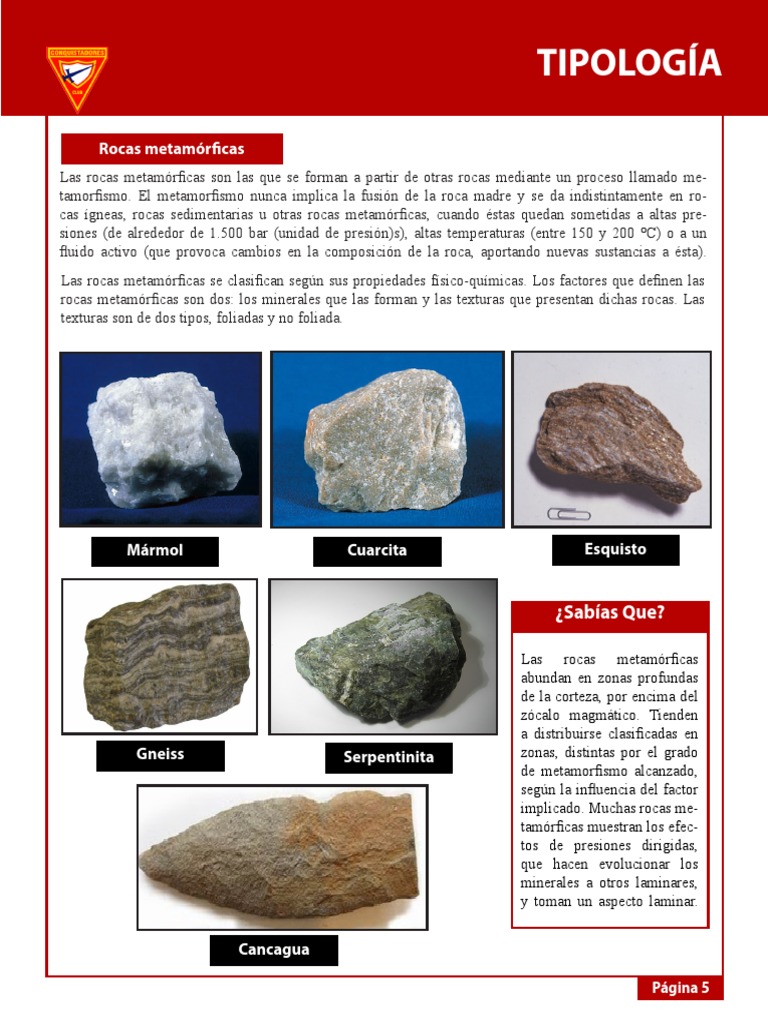 Rocas y Minerales I 5 6 PDF | PDF | Roca (geología) | Rocas
