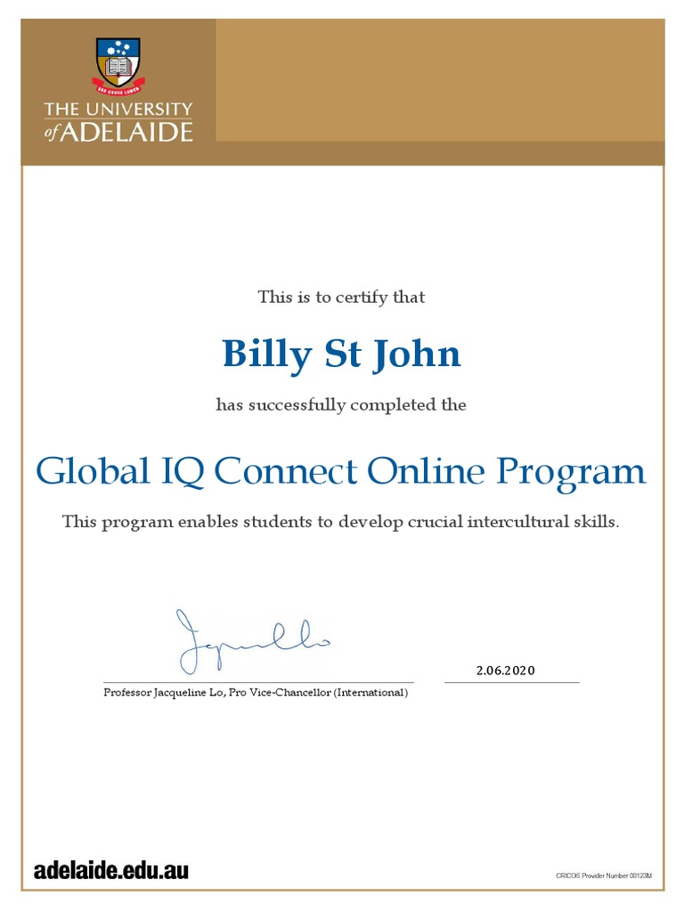 Billy ST John: Global IQ Connect Online Program | PDF