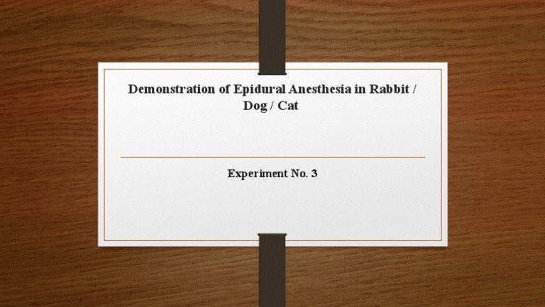 Demonstration of Epidural Anesthesia in Rabbit / Dog / Cat: Experiment ...