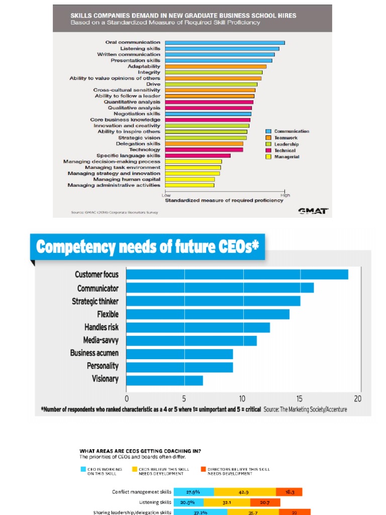 CEO Competency PDF | PDF