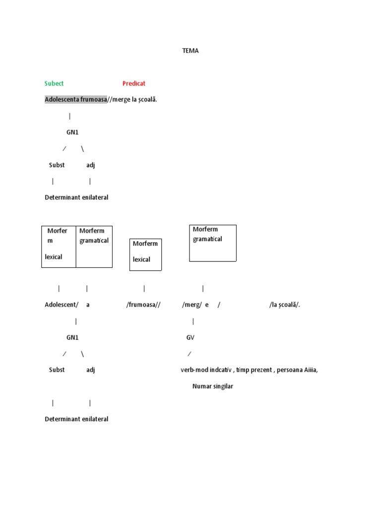 Tema Lingvistica | PDF