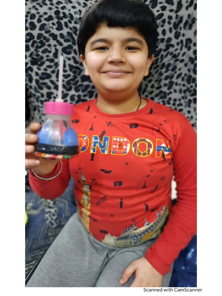 Aarav Mehta Science Activity PDF | PDF