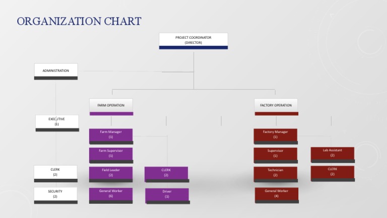 Organization Chart: Project Coordinator (Director) | PDF
