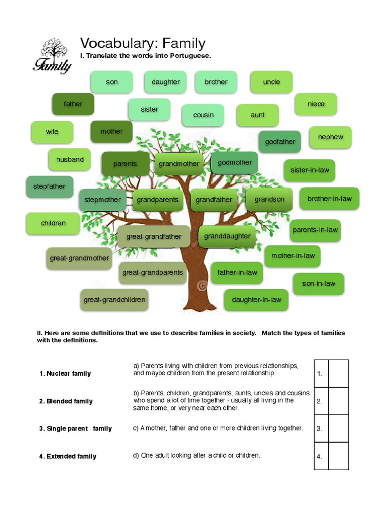 Family Vocabulary and Exercises | PDF | Grandparent | Stepfamily