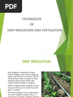 Typical Drip System Layout | PDF | Irrigation | Hydrology
