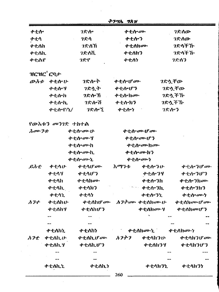 Tinsaye 8 | PDF