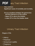 UTD Classification for Radiologists | PDF | Radiology | Urology